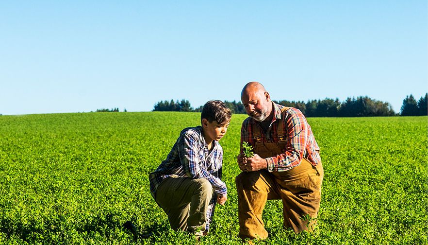 Kansas Farm Bureau to honor tradition, heritage of family farms
